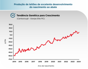Camborough - Genética de Suínos - Agroceres PIC