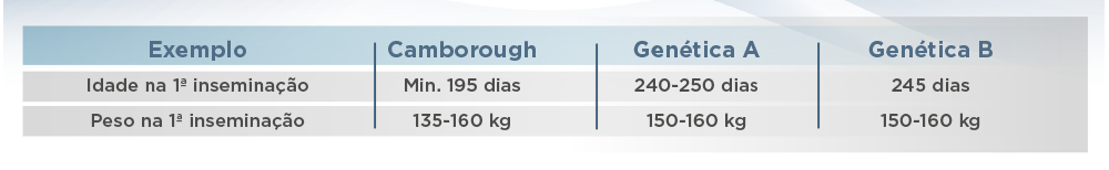 Camborough - Genética de Suínos - Agroceres PIC