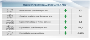 Camborough – Genética de Suínos – Agroceres PIC